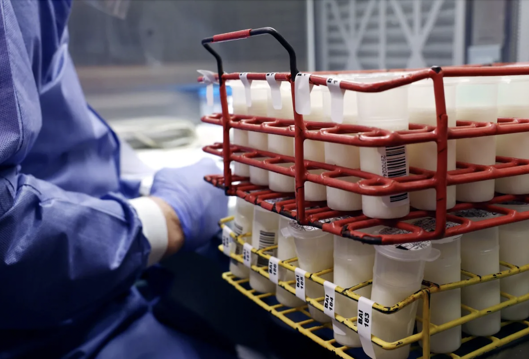 美国发现首例严重禽流感病例，加州进入紧急状态提供者FX168